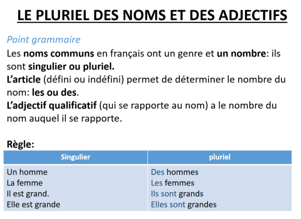 Le pluriel des noms et adjectifs